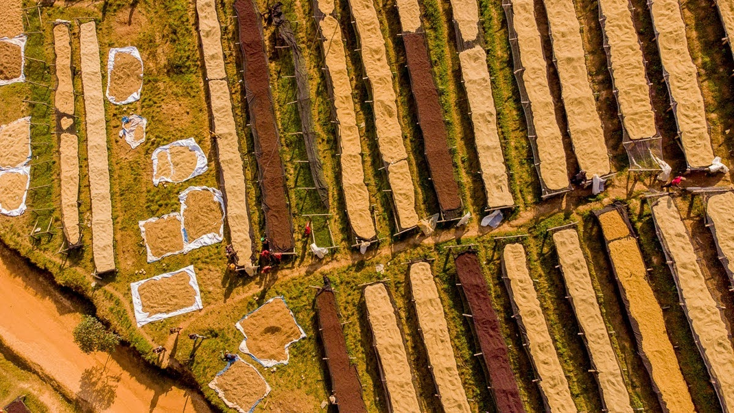 COFFEE – Redemption Roasters