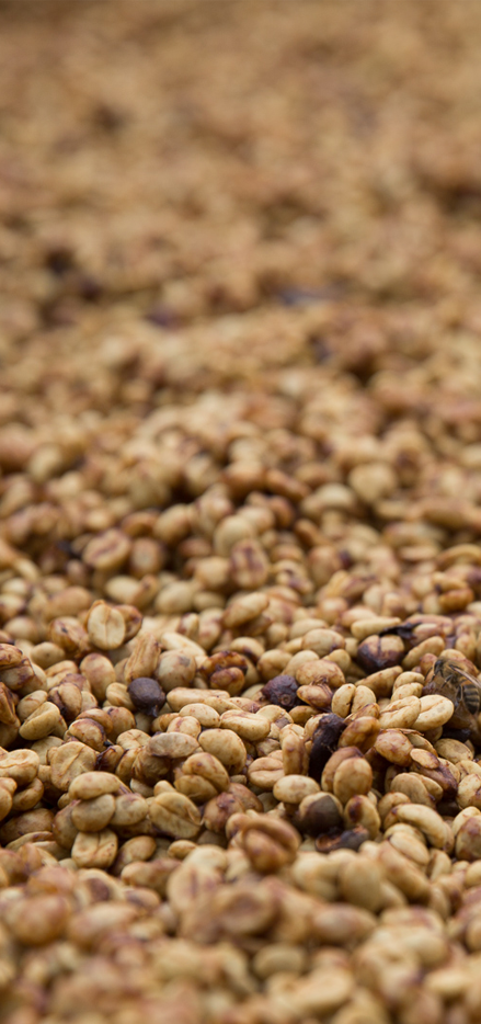 Roastery – Redemption Roasters